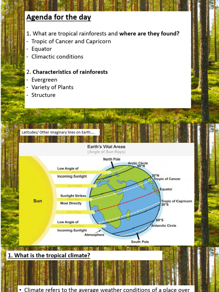 Geography | PDF