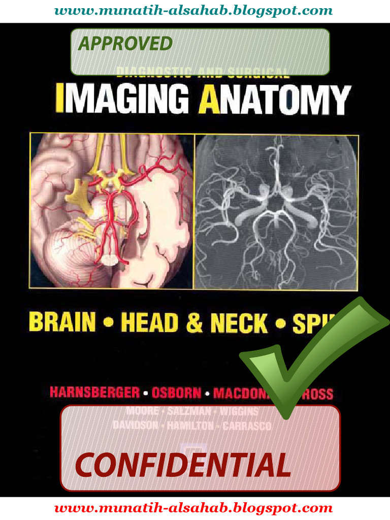 Diagnostic Imaging Anatomy BR - He.ne - SP | PDF