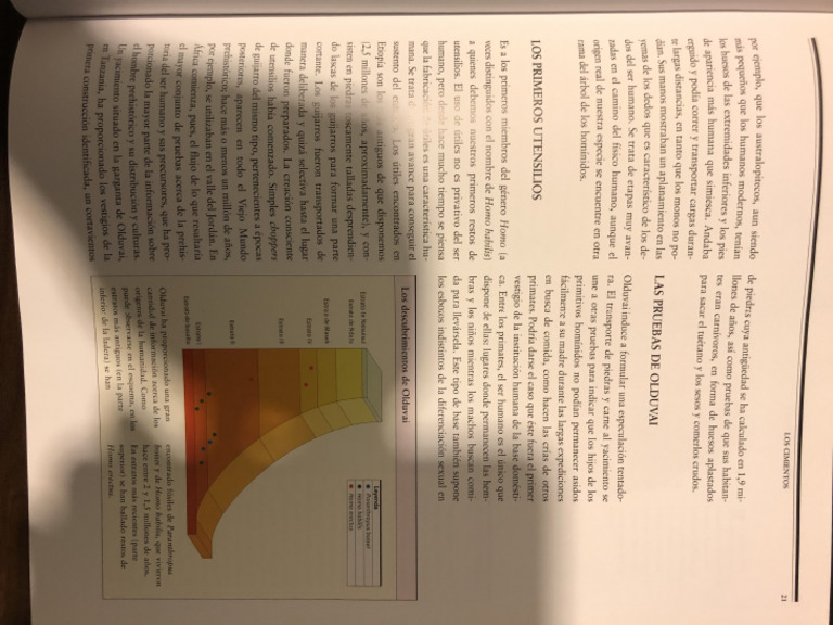 R21 | PDF
