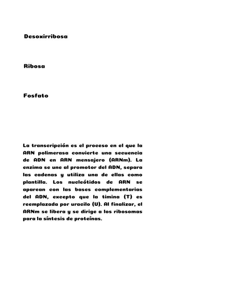 Documento A4 Carta Poder Formal Blanco y Gris 5 | PDF