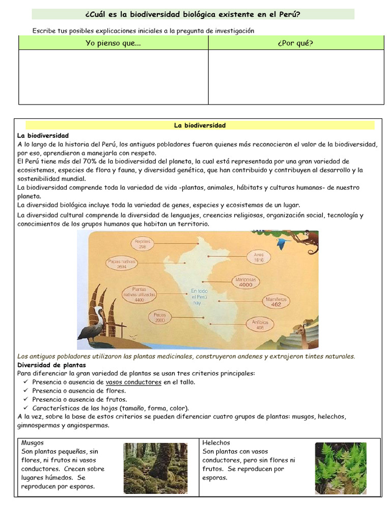 Ficha Cyt - 10-09-2024 | PDF