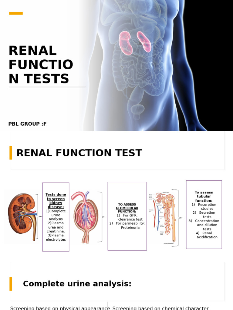 Renal Function Tests | PDF