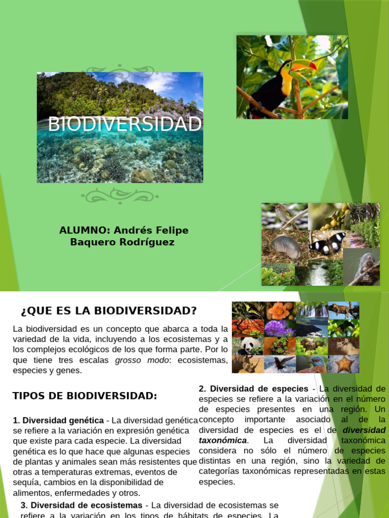 Diapo Andres 2 | PDF