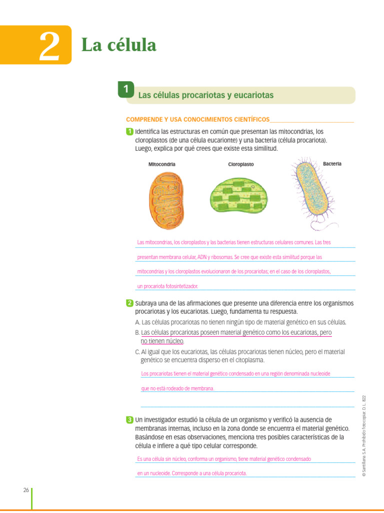 2DA UNIDAD La Celula | PDF