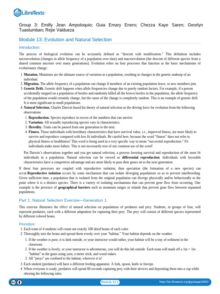 Group 3 Evolution and Natural Selection Activity | PDF