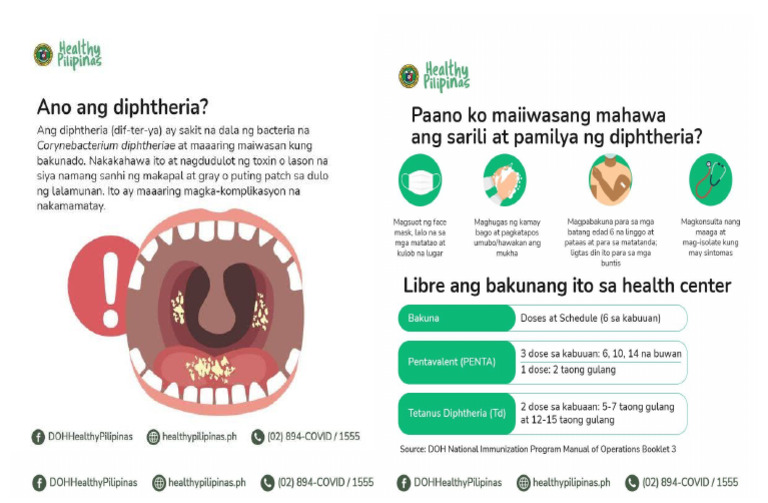DIPHTHERIA LEAFLET | PDF