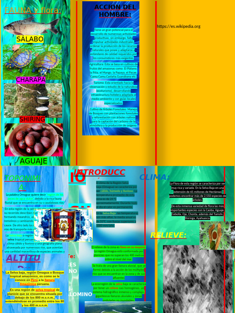 TRIPTICO DE TRABAJO final | PDF