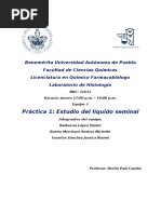 Método Isocrático | PDF | Cromatografía | Línea espectral