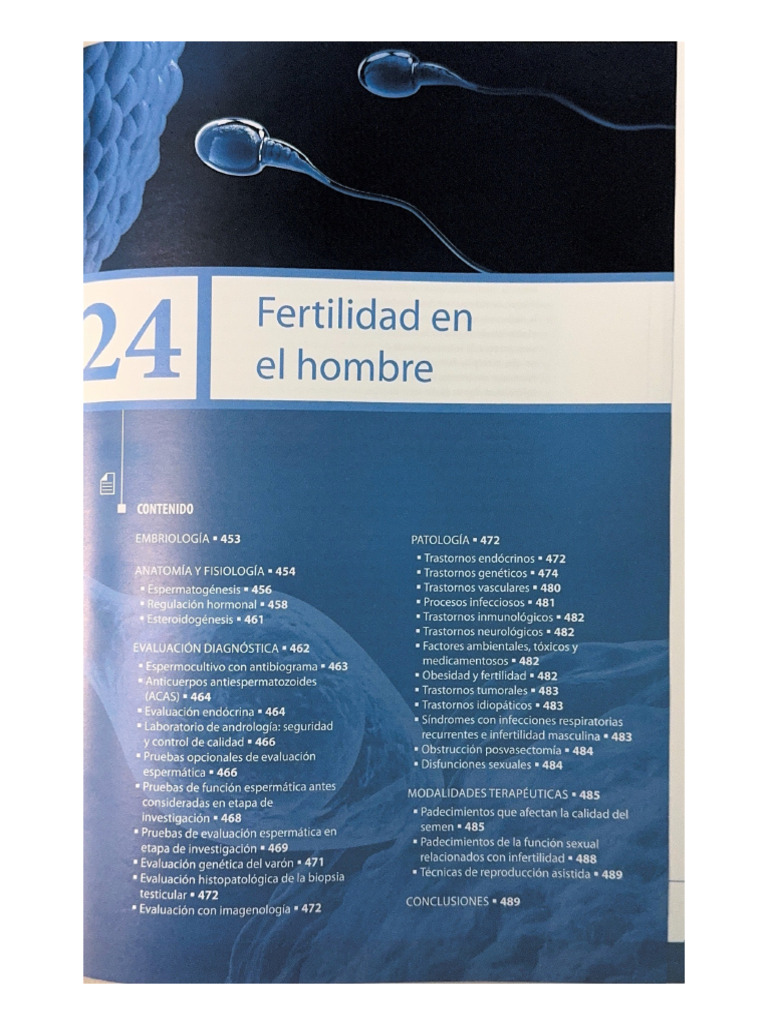 Factor Masculino Parte 1 | PDF