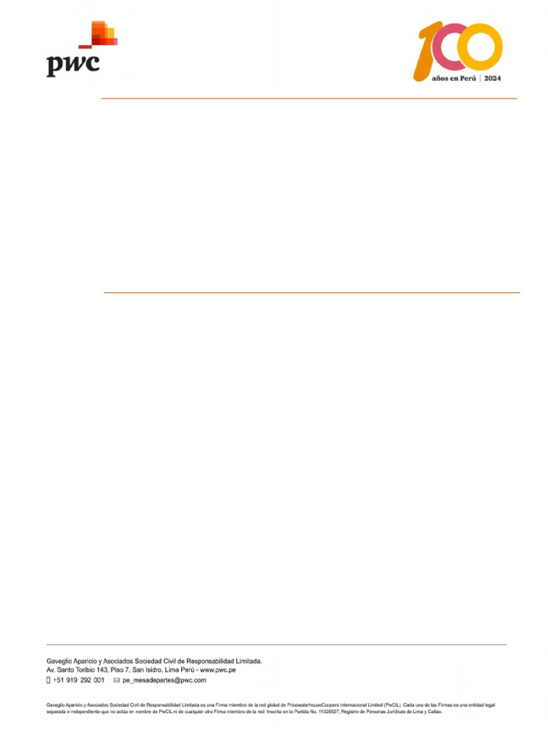 Eeff Cosapi 2023 | PDF