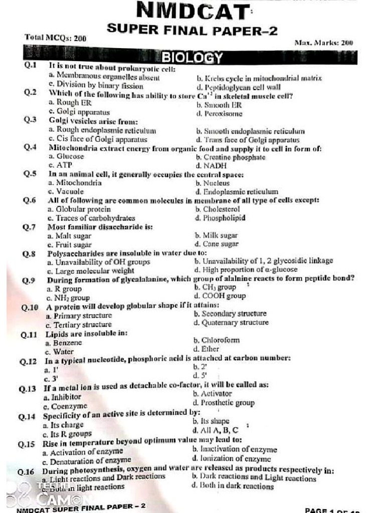 WM - Kips Super Final FLP 2 | PDF