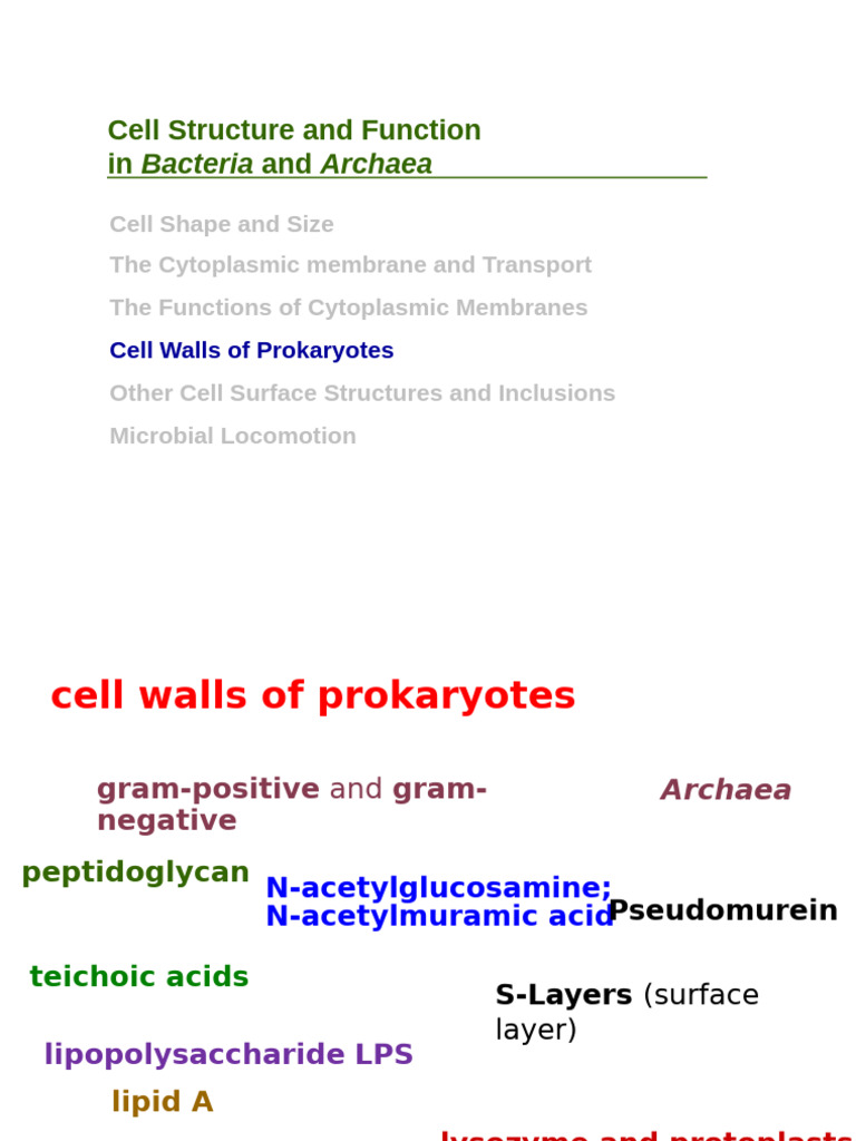 4 Cell Structure And Function In Bacteria And Archaea 2 September 13