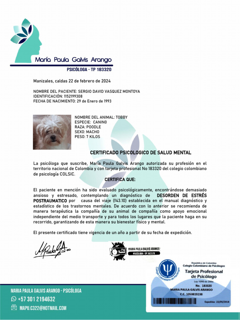 Certificado Psicologa Sergio Tobby | PDF