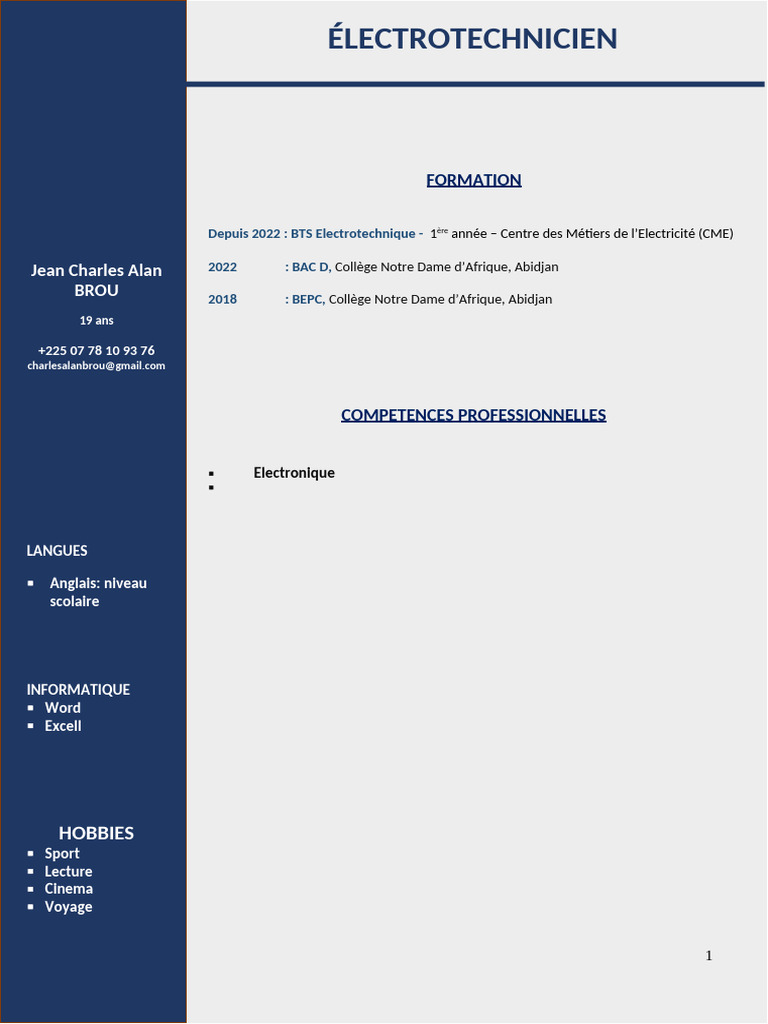 CV Alan 2023 | PDF