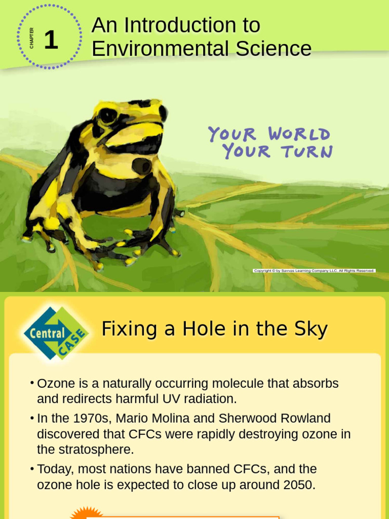 Chapter 1 Overview Presentation (For PowerPoint) - An Introduction To ...