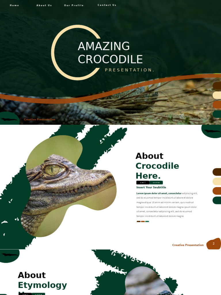 Amazing Crocodile Presentation Pdf