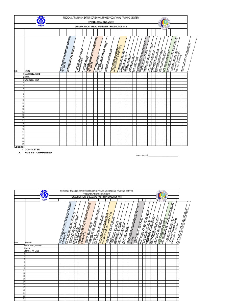 BPP Progress and Achievement Chart | PDF