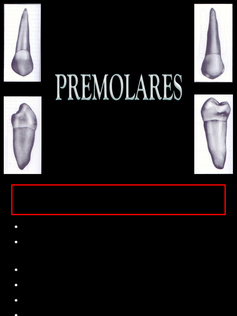 UNIDAD III Tema 3 Premolares | PDF