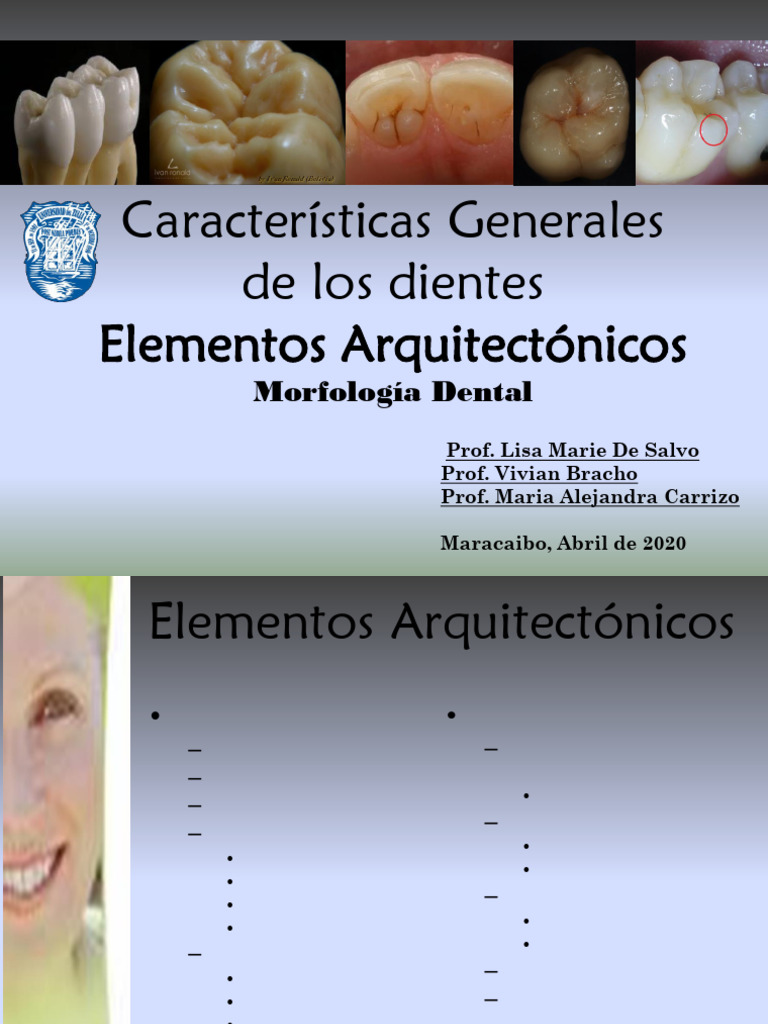 UNIDAD II Tema 1 Elementos - Arquitectonicos | PDF