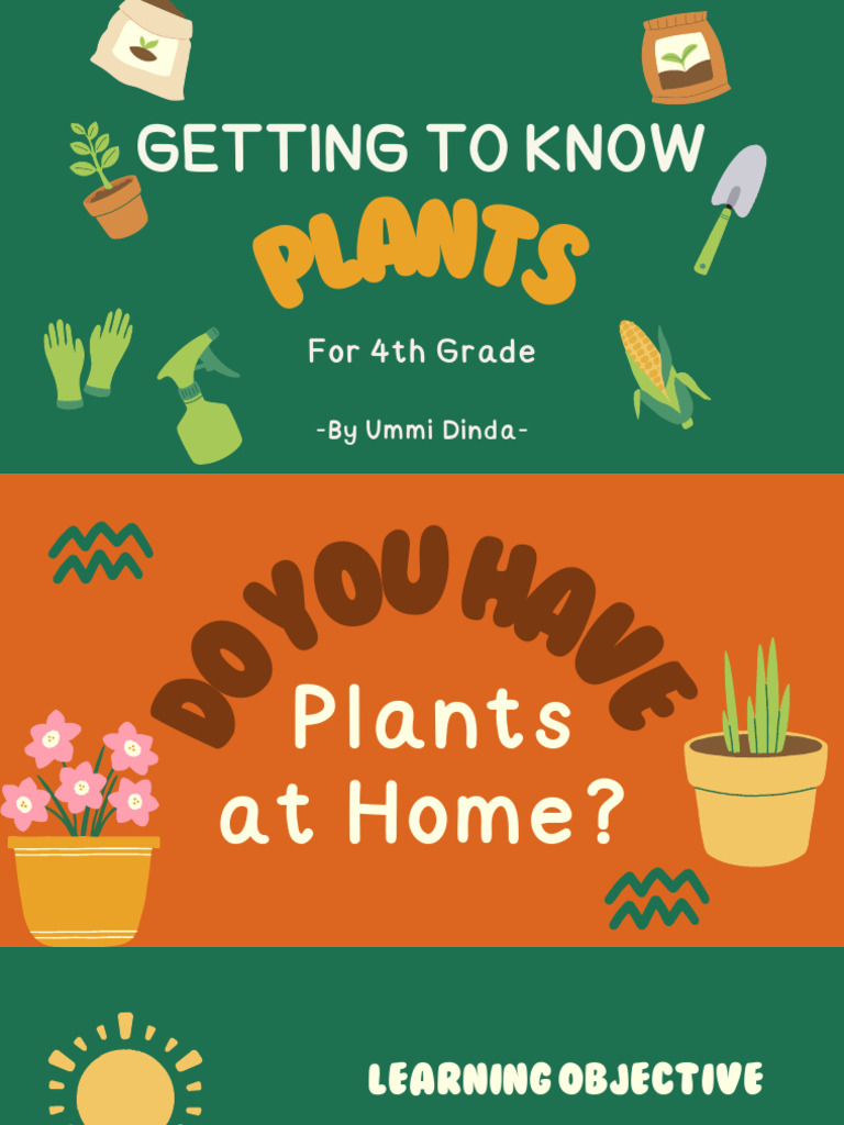Getting To Know Plants | PDF