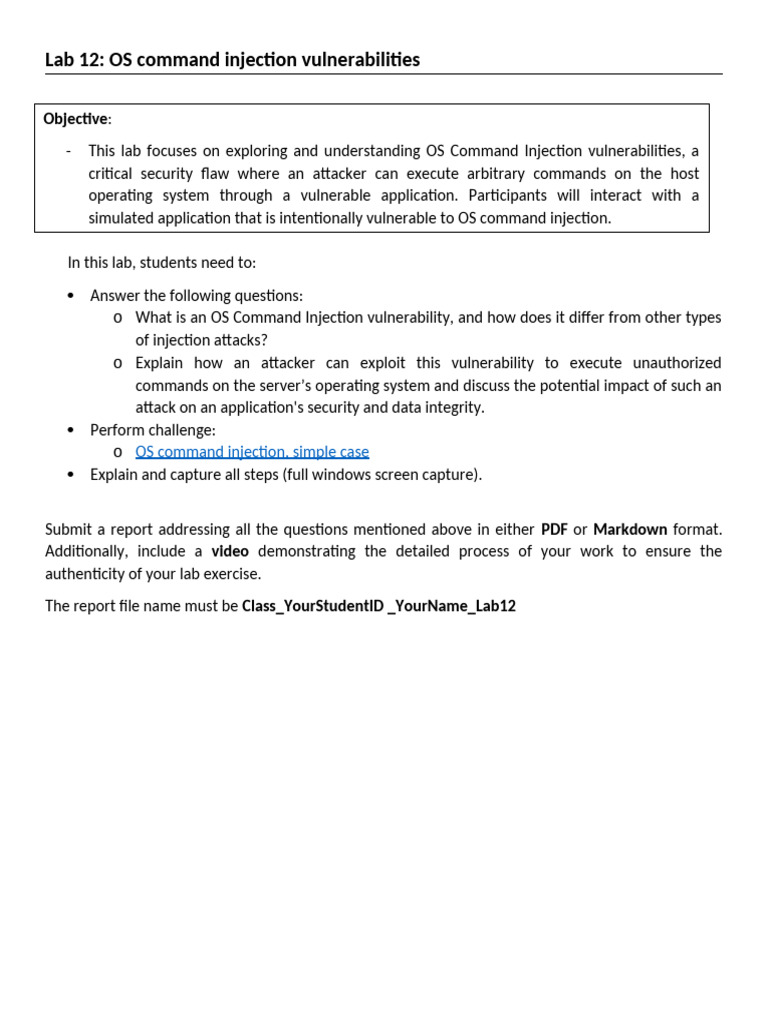 Lab12 OS Command Injection Vulnerabilities | PDF