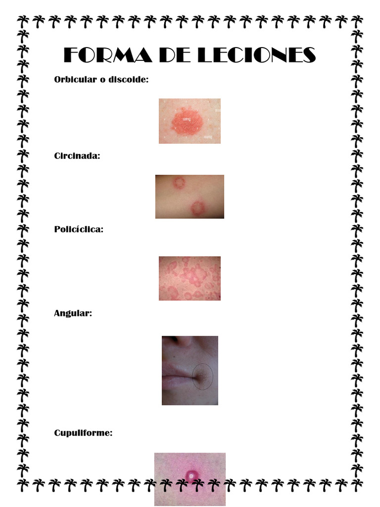 Forma de Leciones | PDF