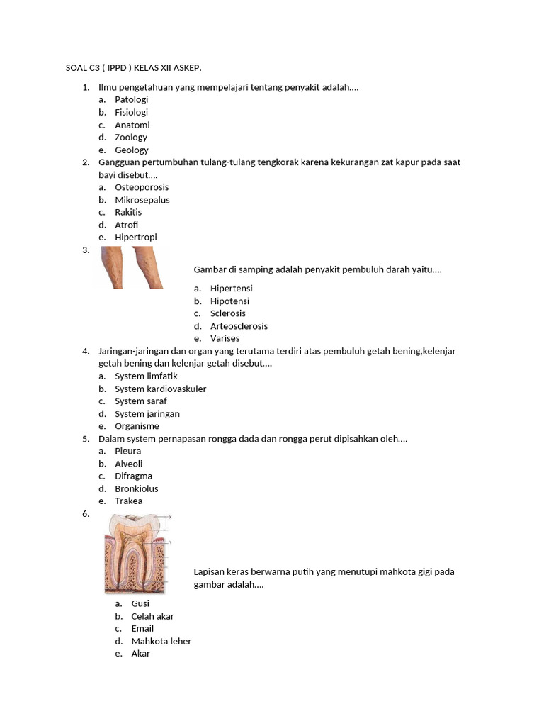 Soal c3 Ippd 2024 | PDF