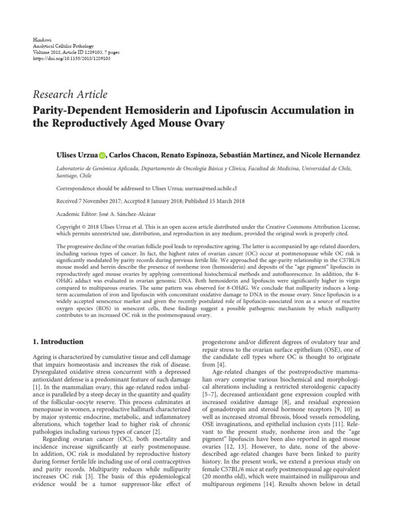 Parity-Dependent Hemosiderin and Lipofuscin Accumu | PDF