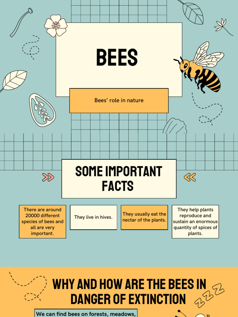 Bees Plans To Avoid Extinction | PDF