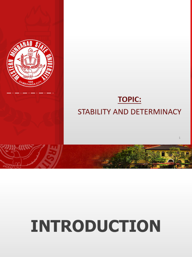 Stability and Determinacy 3 | PDF