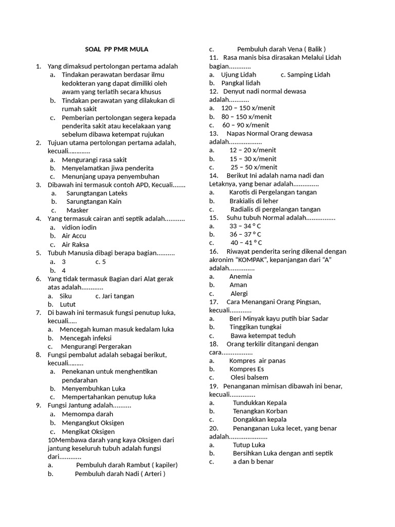 Soal PP PMR Mula | PDF