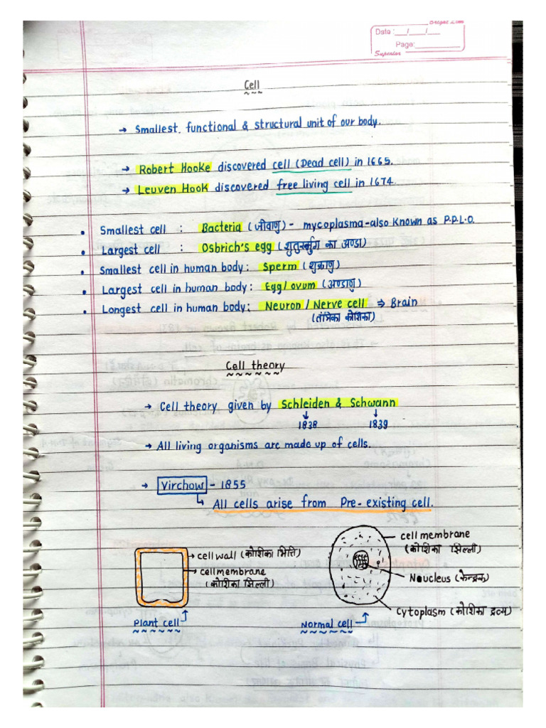 Biology Notes | PDF