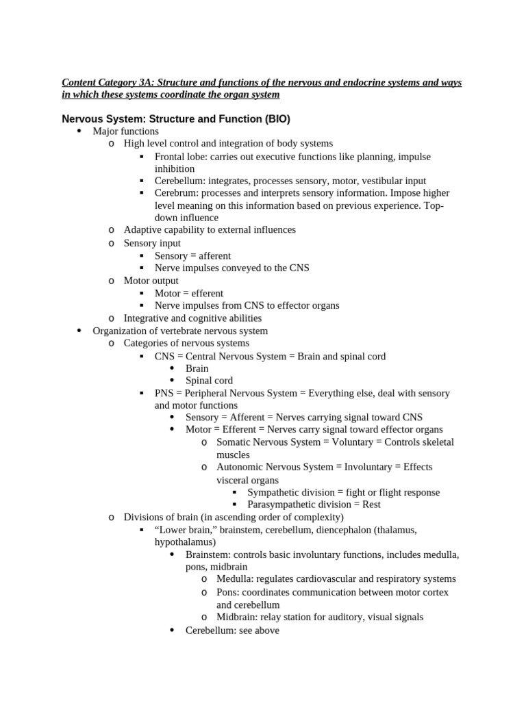Nervous System: Structure and Function (BIO) | PDF