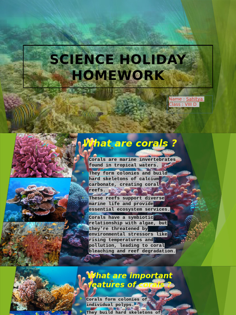 Science Holiday Homework | PDF