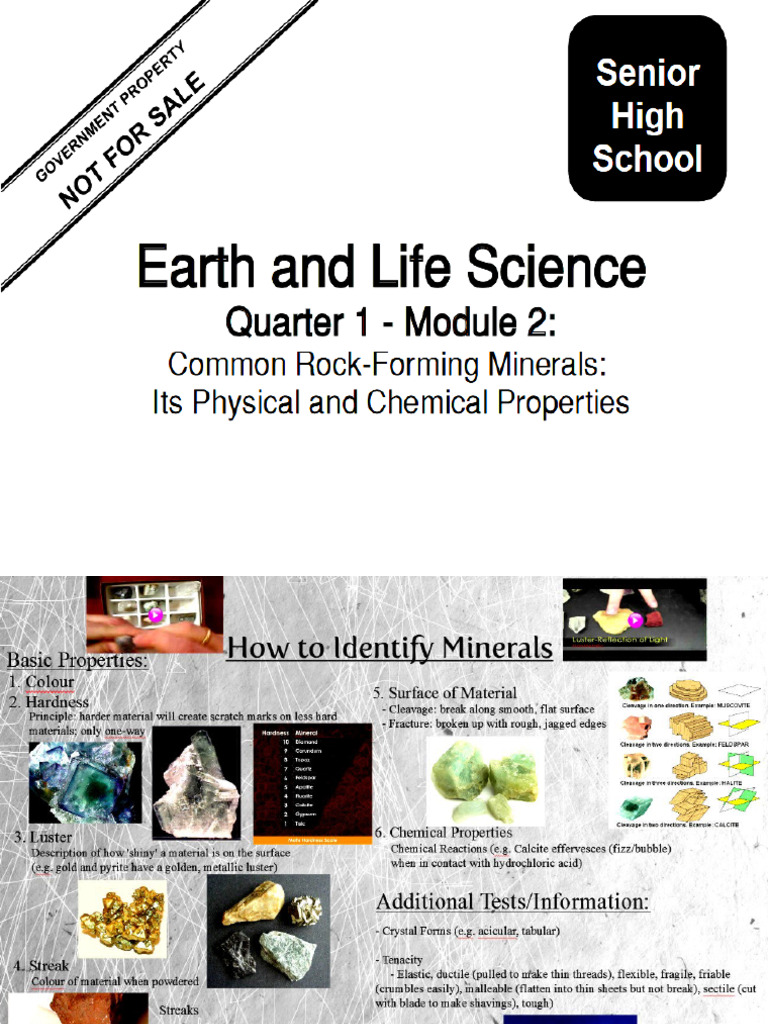 Earth and Life Science | PDF