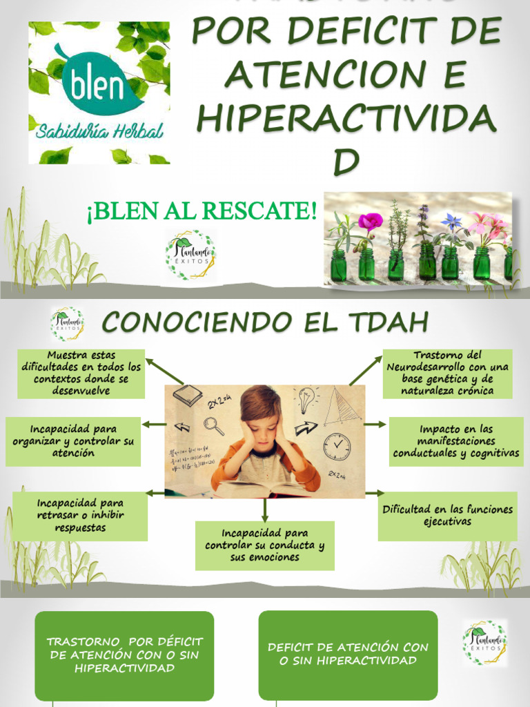 Trastorno Por Deficit de Atencion e Hiperactividad Blen Al Rescate | PDF | Desorden hiperactivo ...