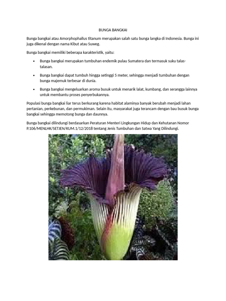 Bunga Bangkai | PDF