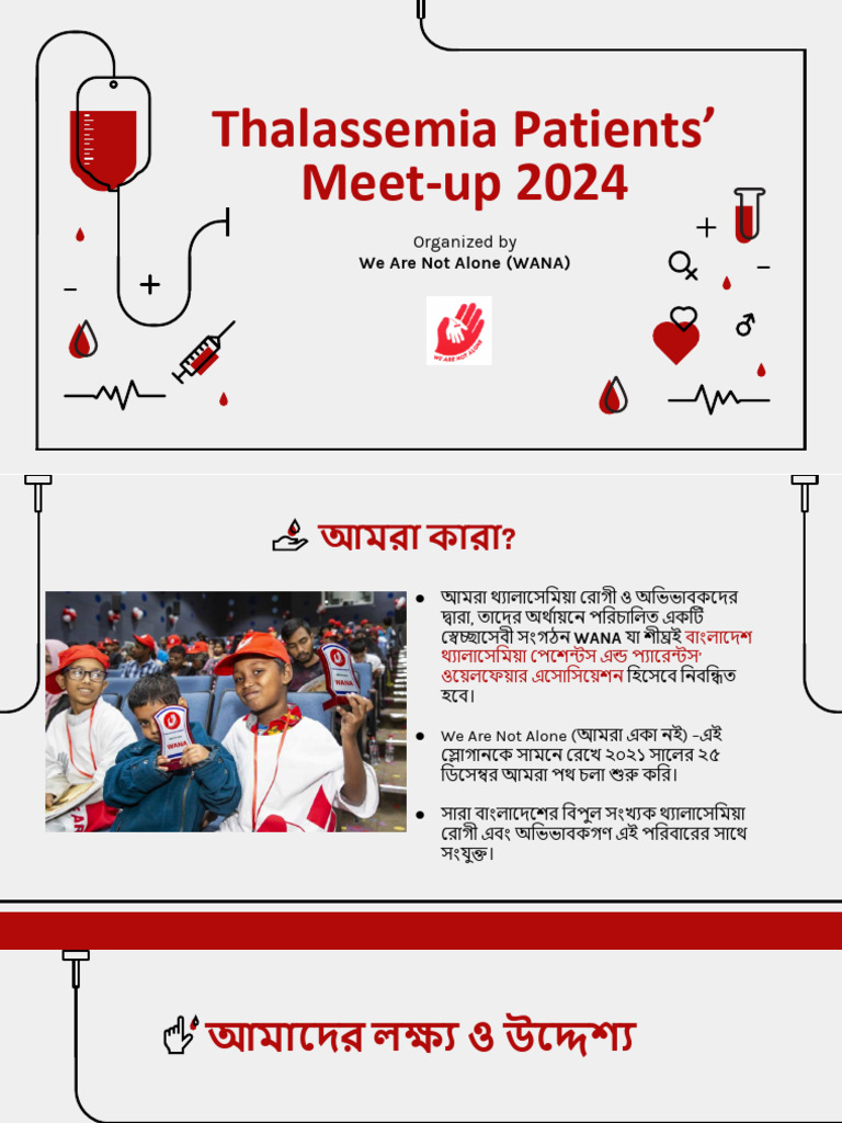 Presentation For Mukul Apu Final | PDF