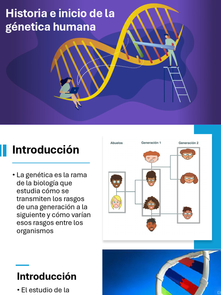 Historia Genetica | PDF