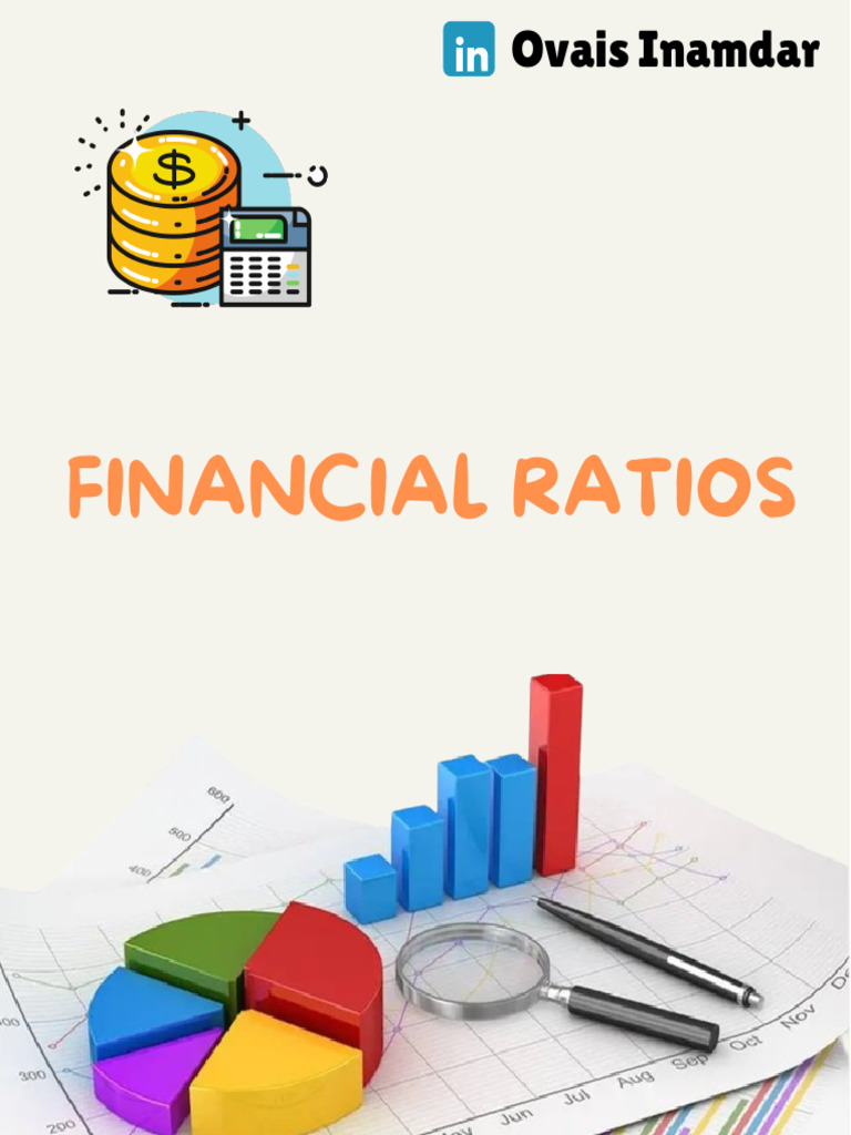 Financial Ratios - Guide For Beginners | PDF