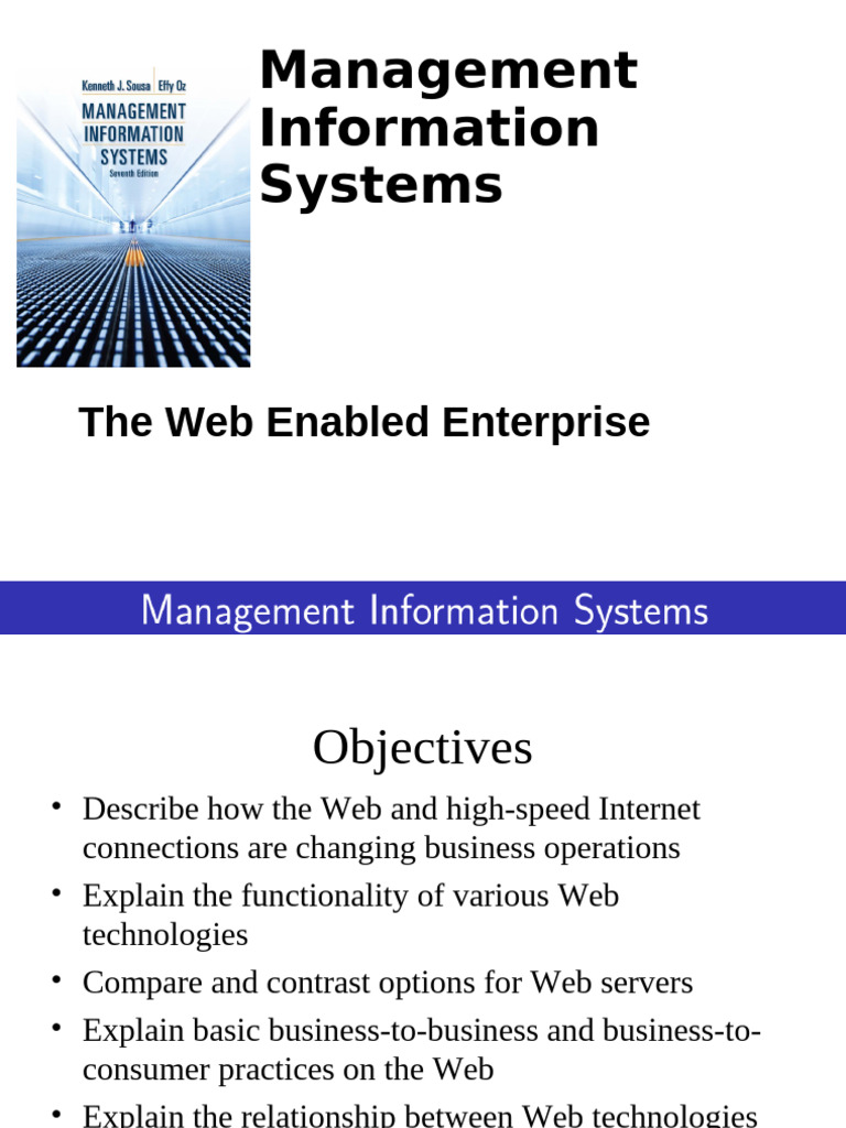 Management Information Systems: The Web Enabled Enterprise | PDF