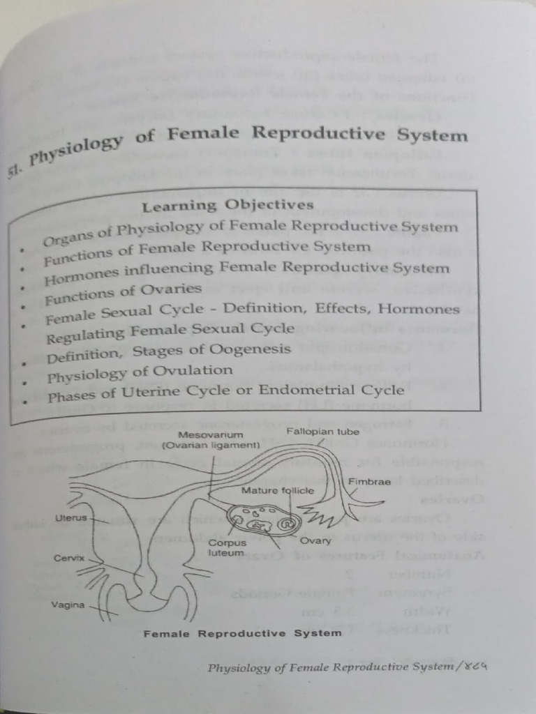 Female Reproductive System | PDF
