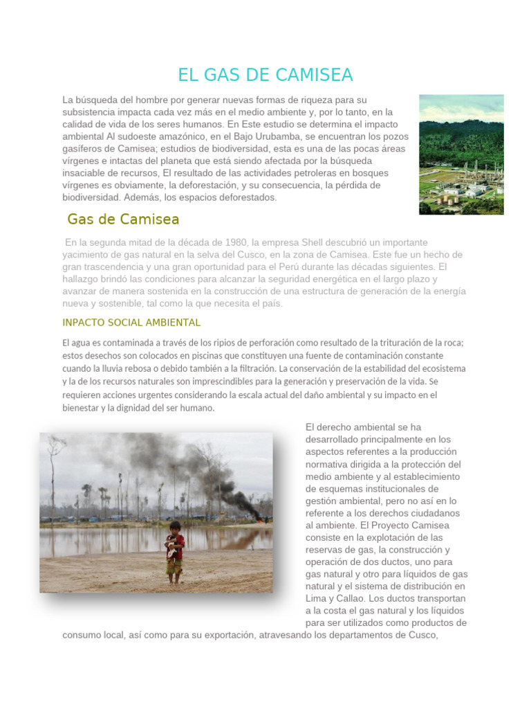 EL GAS DE CAMISEa 1.3 | PDF