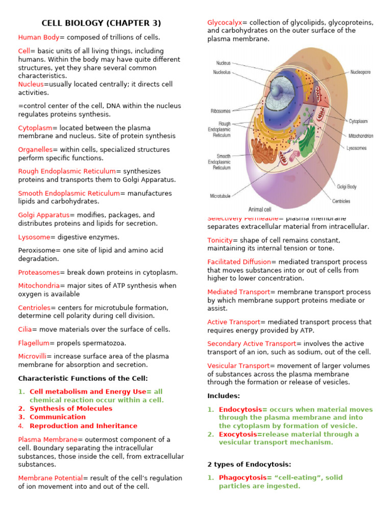 Chapter 3 Cell Biology | PDF