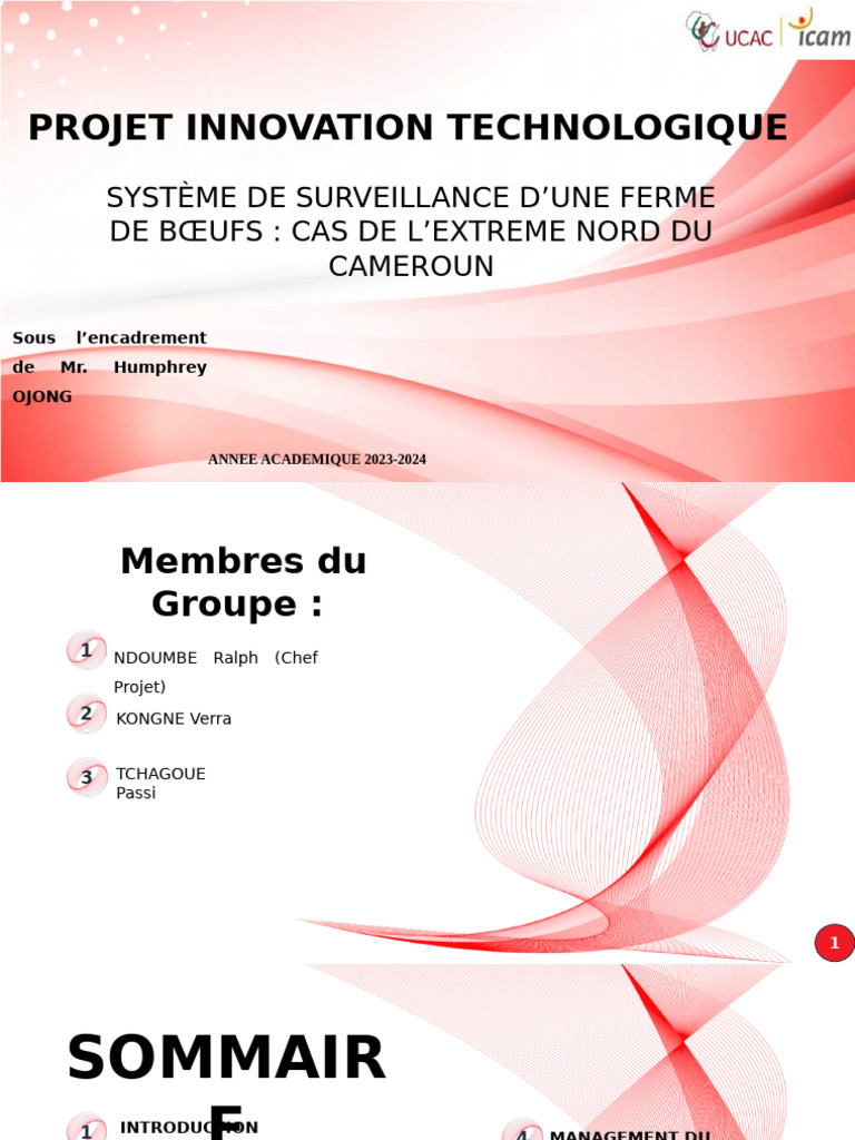 Presentation Projet Innov | PDF