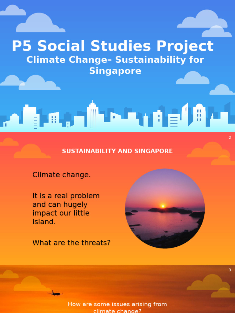 2023 P5 SS Project | PDF