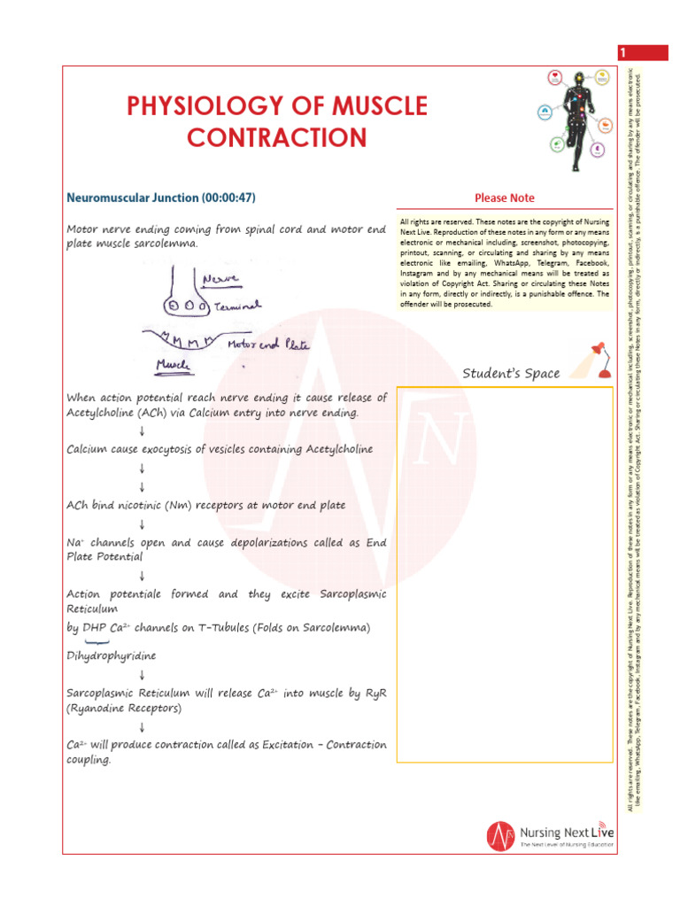 1. Physiology of Muscle Contraction | PDF