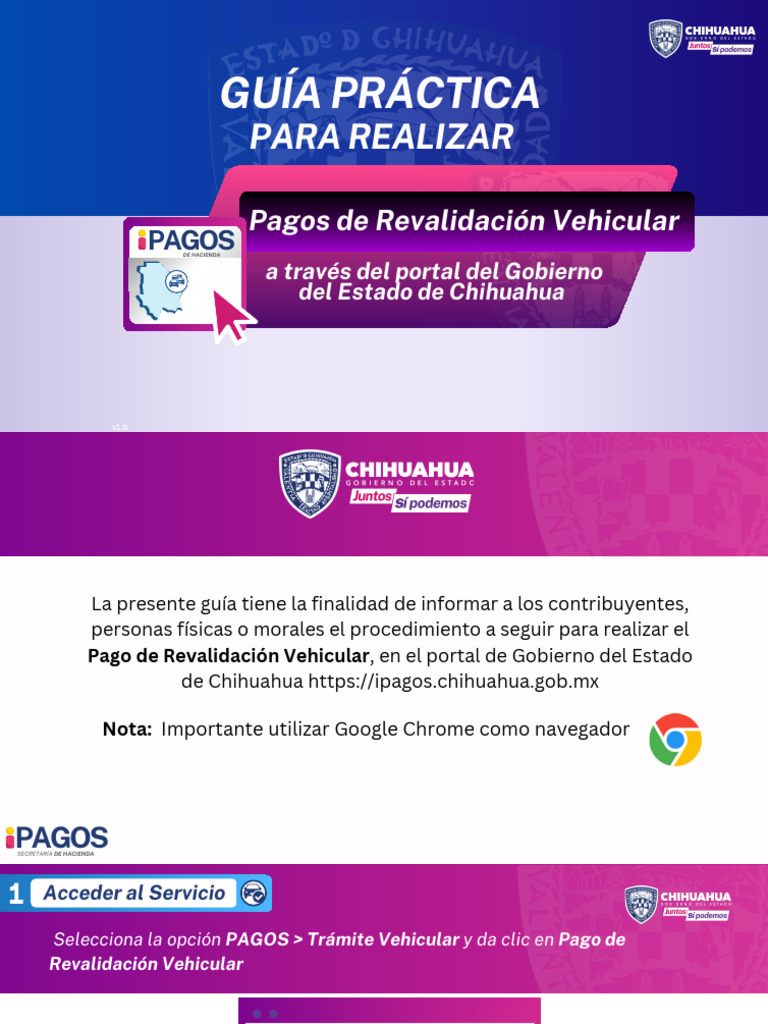 Guia Practica Pago Revalidacion IPagos | PDF