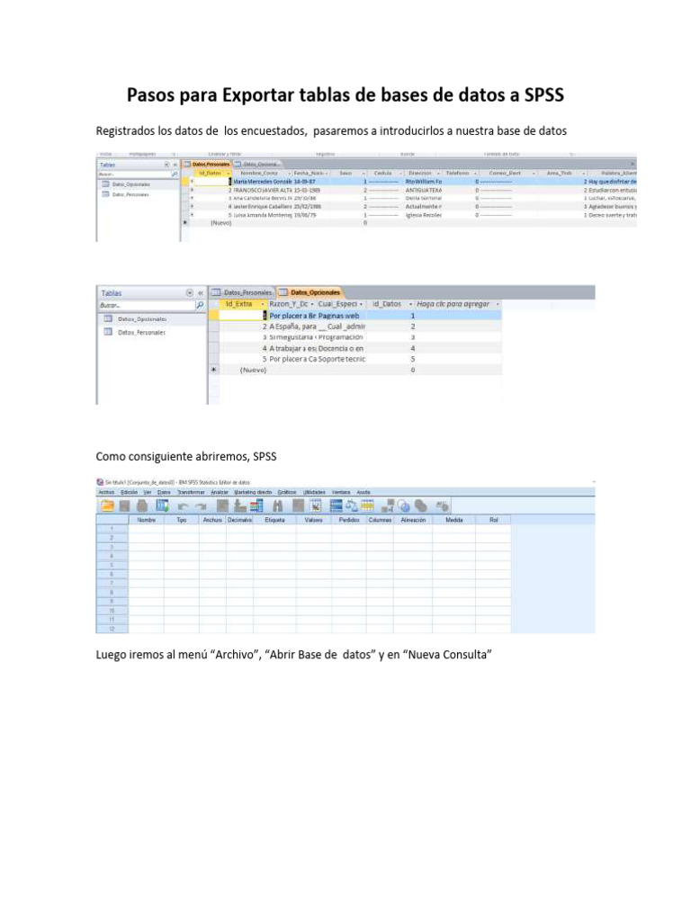 #2 Exportar Ejemplo1 DB A SPSS | PDF
