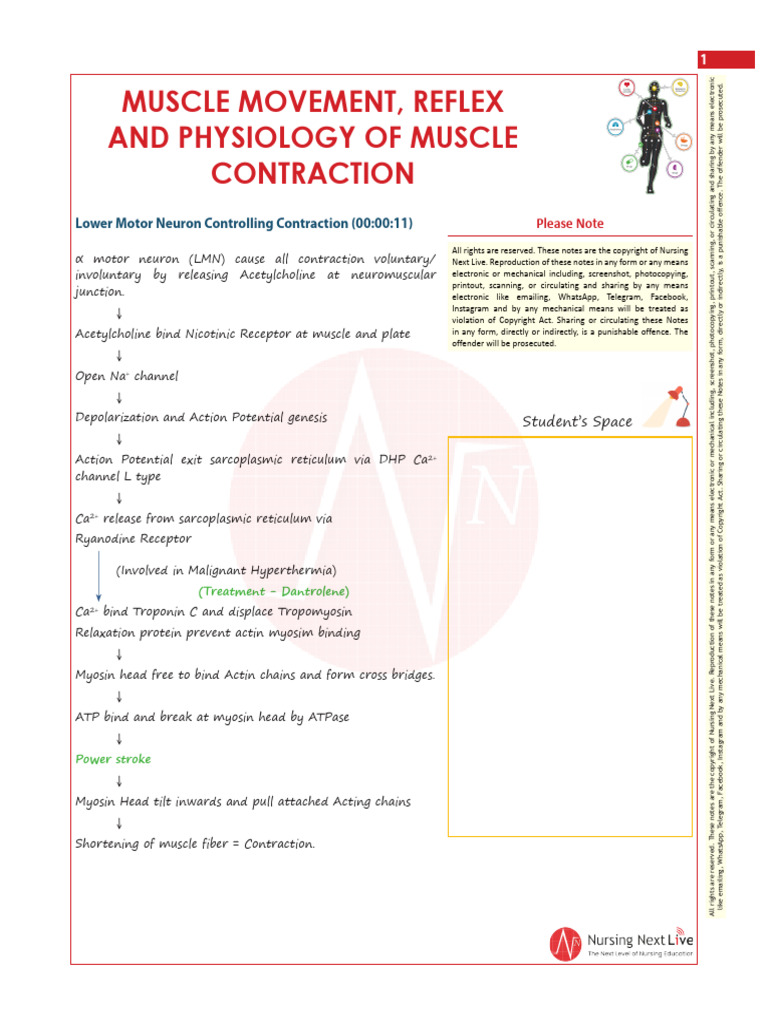 Muscle Movement, Reflex and Physiology of Muscle Contraction | PDF